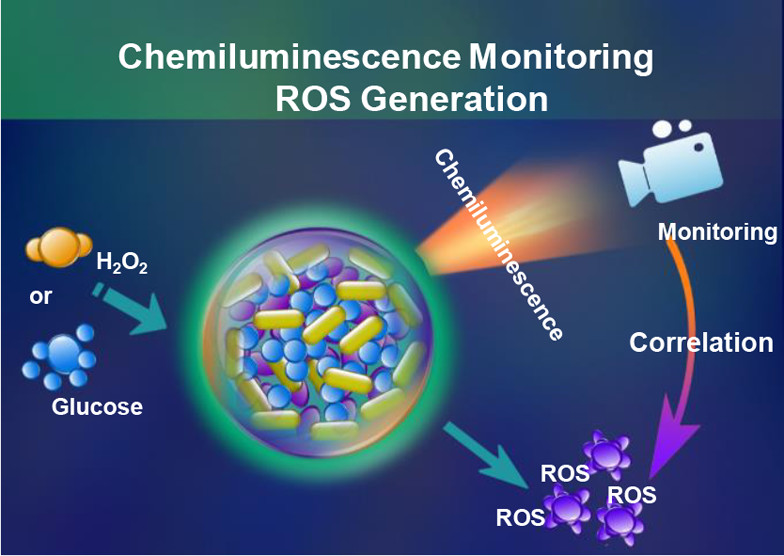 8. Wang Y., Song G .* et al. Reactive Oxygen Correlated Chemiluminescent Imaging of ...