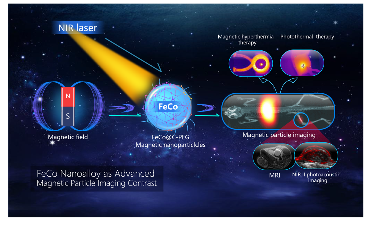 Highlighted by: Versatile iron cobalt nanoparticles for theranostics. Nature Biomedical ...